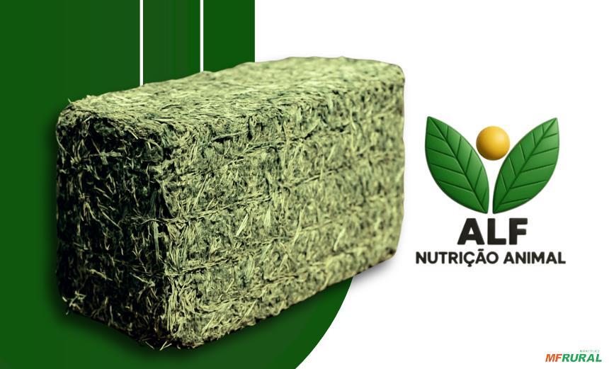 Mega Mega - Alimentos para Nutrição Animal | Preço Venda Compra