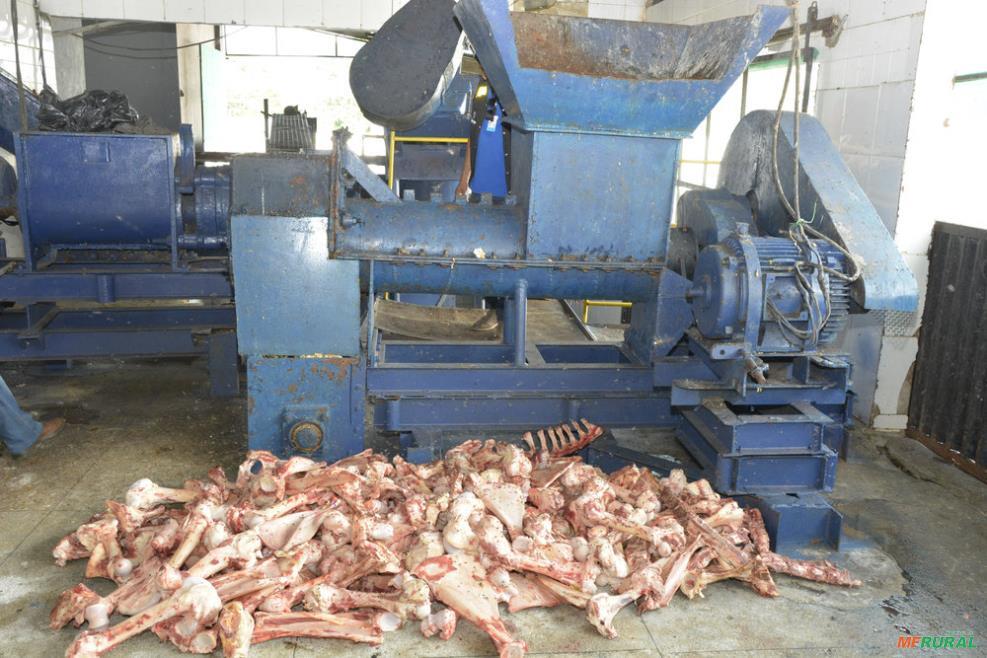 Sebo Ossos | Preço Venda Compra - MF Rural