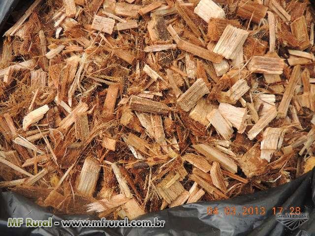 Biomassa Cavaco de Madeira, Cavaco de Eucalipto E Cavaco de Pé 117548