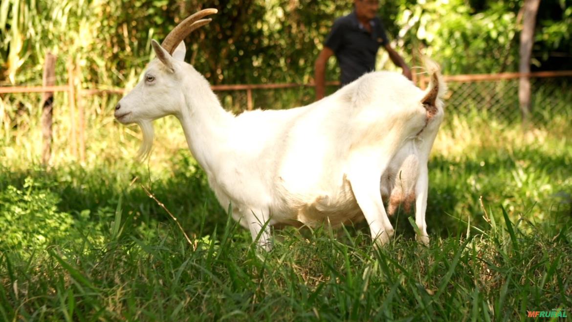 2025 02 Atualizacao Cumulativa Net Framework 3.5 4.8.1 Windows