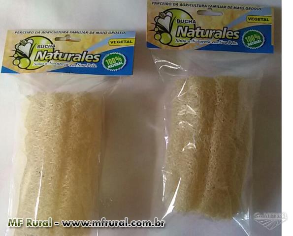 Bucha Vegetal Naturales em Cuiabá MT à venda. Compre direto 172164