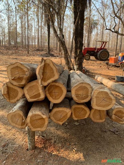 Madeira Teca Serrada em Abaeté MG à venda. Compre direto 432371