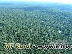 Mata Natural | Preço Venda Compra - MF Rural