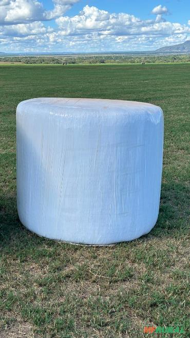 Feno Pré-Secado Cilíndrico em Buritizeiro MG à venda. Compre 791960