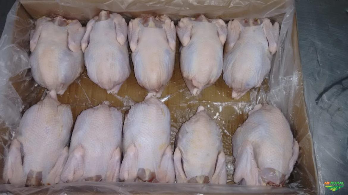 Tabela Peso Frango Corte | Preço Venda Compra - MF Rural