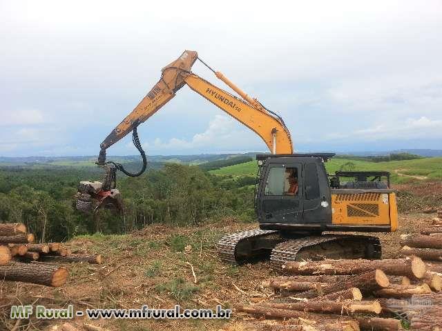 Cabecote Log Max 5000D em Ibaiti PR à venda. Compre direto 165346