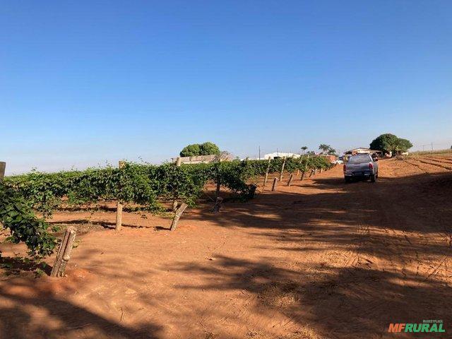 Chácara 5,47Ha em Lucas do Rio Verde/Mt em Lucas do Rio Verde MT 426953