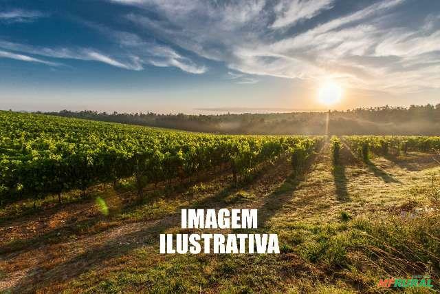 Fazenda 506Ha, em Mauritti/Ce em Mauriti CE à venda. Compre 430445