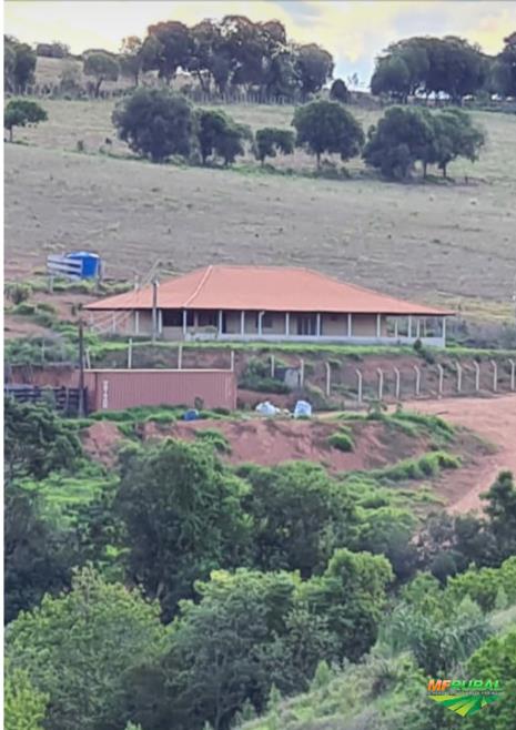 Vende - se Fazenda no Sul de Minas Gerais em Monsenhor Paulo MG 400703 Vende - se Fazenda no Sul de Minas Gerais em Monsenhor Paulo MG 400703