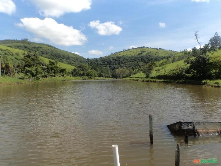 Sítio Morungaba/Sp/Br (Andrez 155) em Morungaba SP à venda. 635060