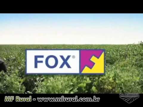 Fox em Barretos SP à venda. Compre direto do vendedor 145322