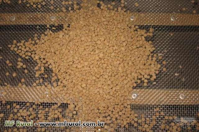 Vendo Composto Wpc em União da Vitória PR à venda. Compre 146526