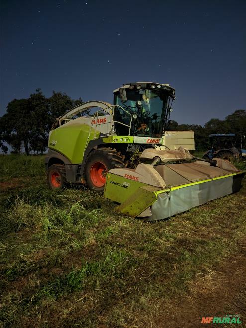 Forrageira Claas | Preço Venda Compra - MF Rural