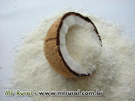 Coco Fresco Ralado Congelado em Rio de Janeiro RJ à venda. 164203