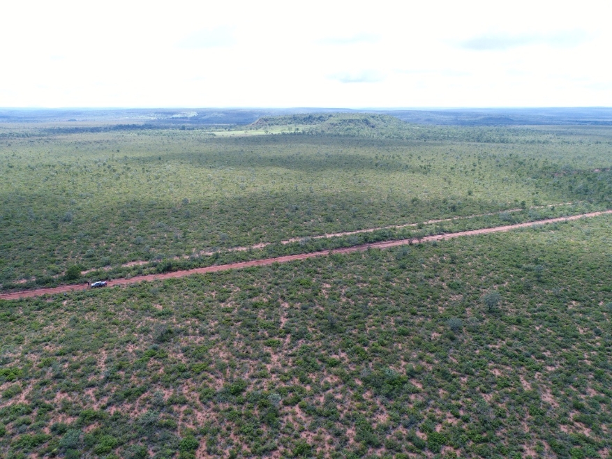 Emitir Dae Pagamento Ipva Licenciamento Veiculos Sestsdo Goias