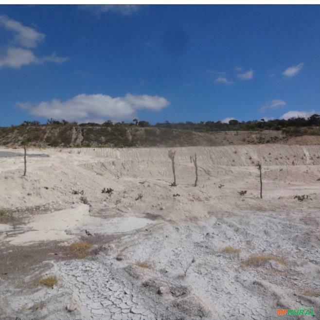 Caulim | Preço Venda Compra - MF Rural