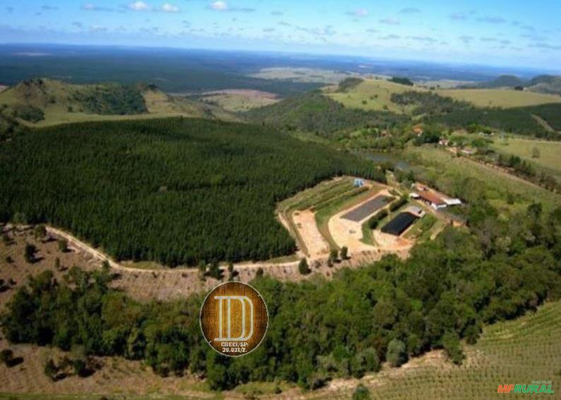 Fazenda 266,7 Hectares, Região de Itatinga, São Paulo. em 630463
