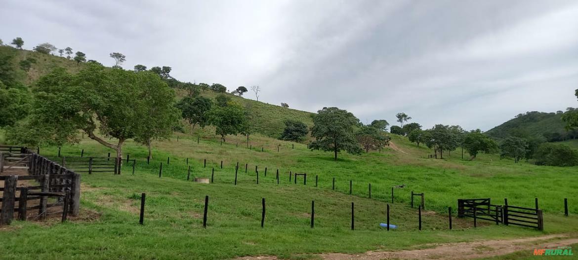 Fazenda 905,0 Há. Formoso de Goiás. em Formoso GO à venda. 664455