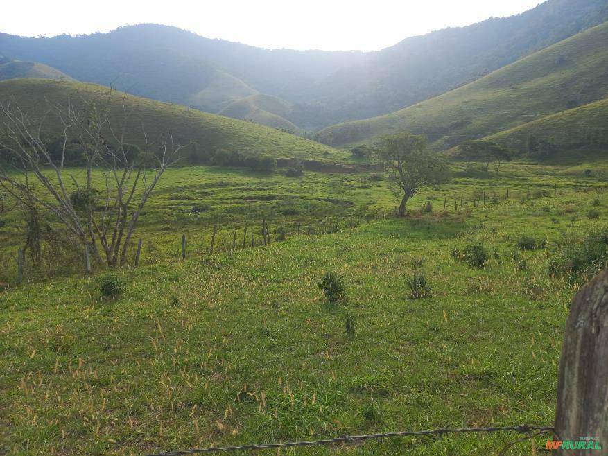 Fazenda 266,2 Hectares no Vale do Paraíba, São Paulo. em Areias 664752