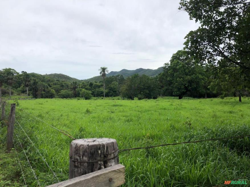 Chácara de 50,8 Hectares em Formoso de Goiás. em Formoso GO à 667356