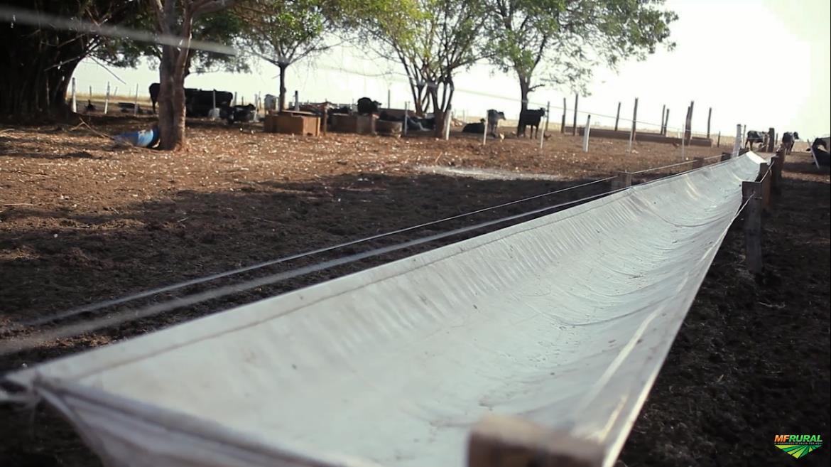Cocho Para Bovinos em Cruzmaltina PR à venda. Compre direto 171073