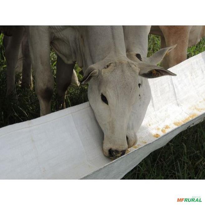 Cocho | Preço Venda Compra - MF Rural