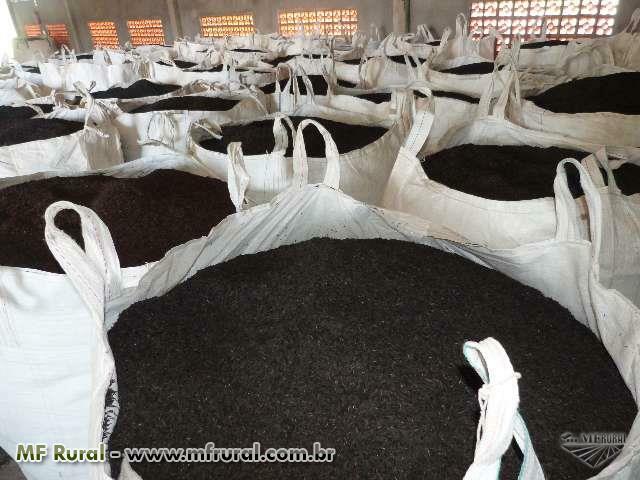 Casca Arroz Carbonizada | Preço Venda Compra - MF Rural