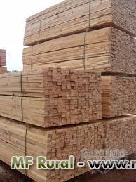 Madeira Pinus Serrada Bruta | Preço Venda Compra - MF Rural