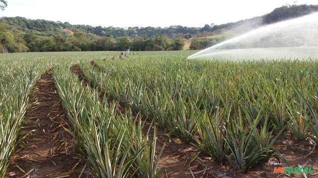 Irigacao Completa | Preço Venda Compra - MF Rural
