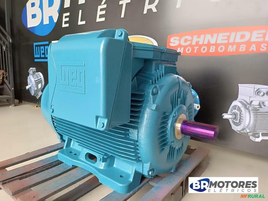 Motor Elétrico Recondicionado Weg 250 cv 8 Polos / 900 Rpm em 665627