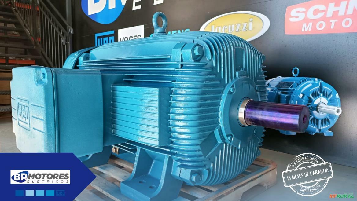Motor Weg W21 300Cv 8 Polos / 900 Rpm 220/380/440/760 em 667696