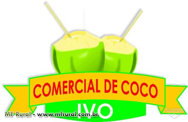 Coco Verde | Preço Venda Compra - MF Rural