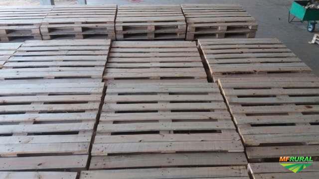 Palete - Instalações | Preço Venda Compra - MF Rural