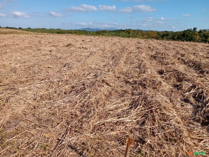 Terrenos à venda com preço