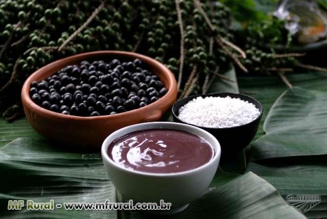Açai da Amazônia em Fortaleza CE à venda. Compre direto 188724