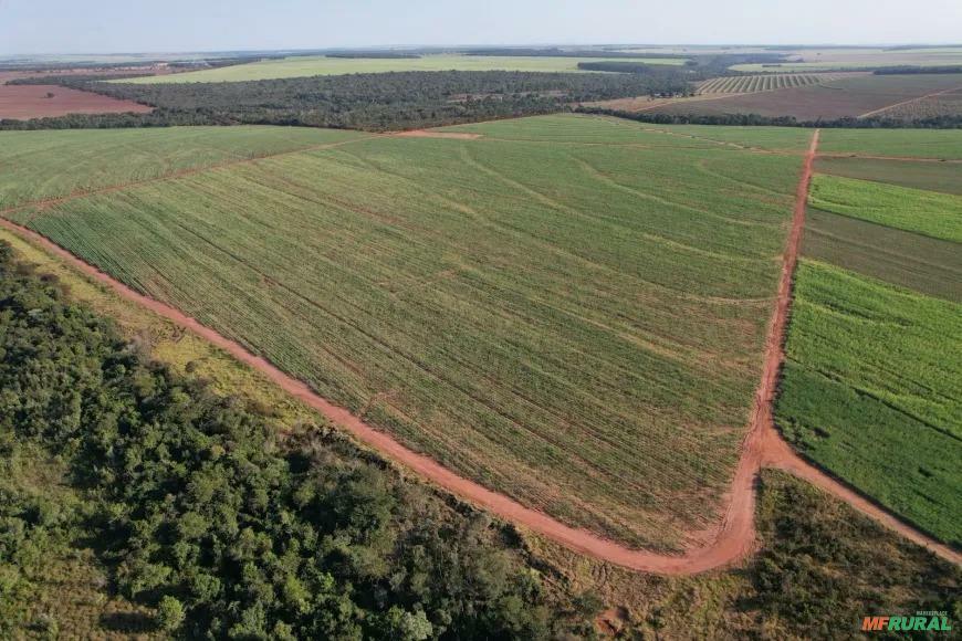 Fazenda Progresso em Aporé -Go em Cotia SP à venda. Compre 842833