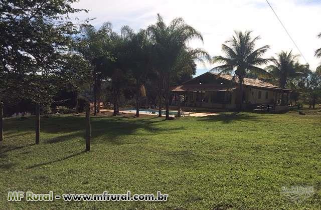 Vendo Magnifica Fazenda Entre Baldim E Jequitibá Com 54 Hectares 190214