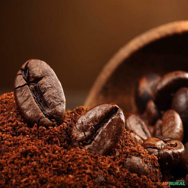O Que Você Acha de Vender em Sua Loja Café? Café Puro Moído na 440358
