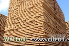 Madeira em Buritis RO à venda. Compre direto do vendedor 196564