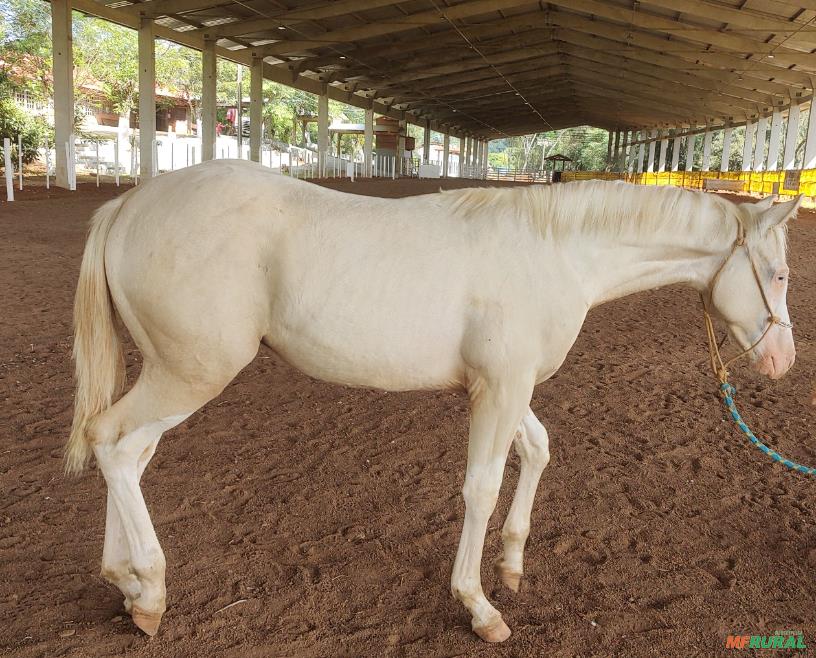 Certidao Regularidade A Fazenda Estadual Certidao Negativa