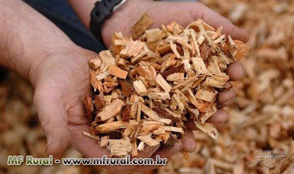 Fornecemos: Cavaco de Eucalipto-Pó de Serragem-Madeira Serrada 205717