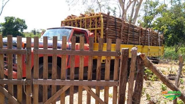 Estacas de Sabiá do Piauí em Parnaíba PI à venda. Compre direto 297082