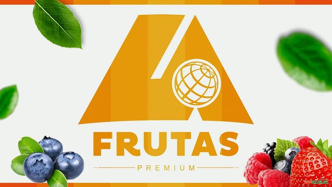 Frutas Importadas Congeladas em Barracão PR à venda. Compre 239132