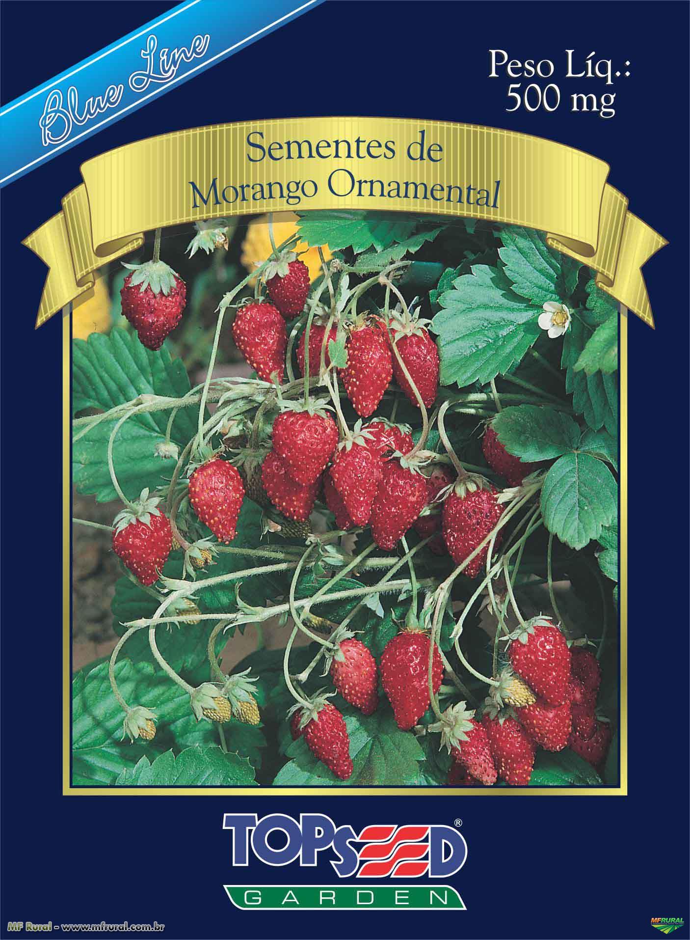 Sementes de Morango Ornamental - Topseed Blue Line em Salto 229677
