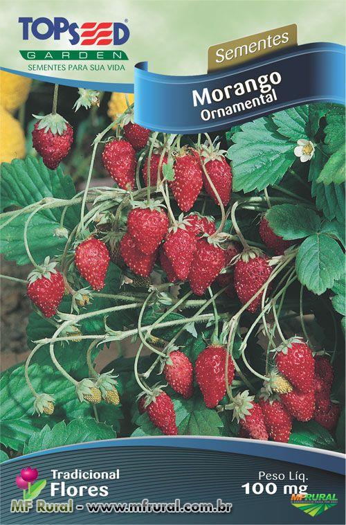 Sementes de Morango Ornamental 100Mg - Topseed Linha Tradicional 357629
