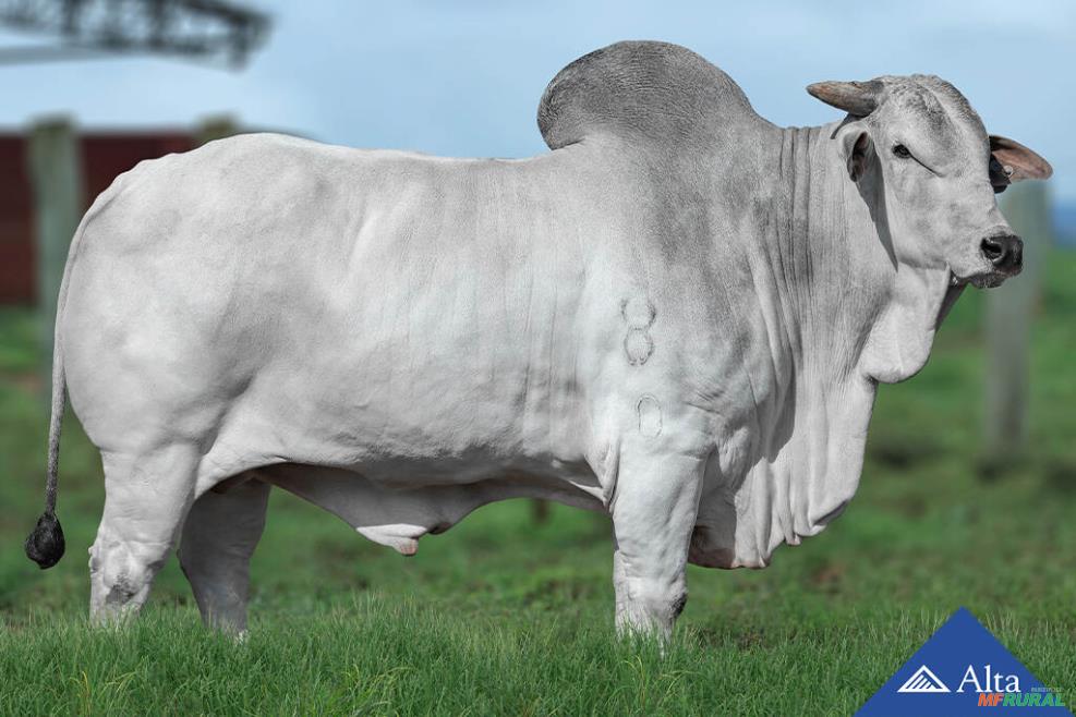 Mau Quyet Dinh Thanh Lap Trung Tam Boi Duong ky Nang Cua Cong Ty