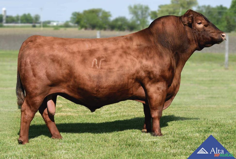 Contabilizacao One Shoot | Preço Venda Compra - MF Rural