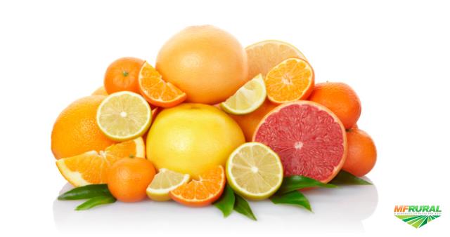Limoneno | Preço Venda Compra - MF Rural