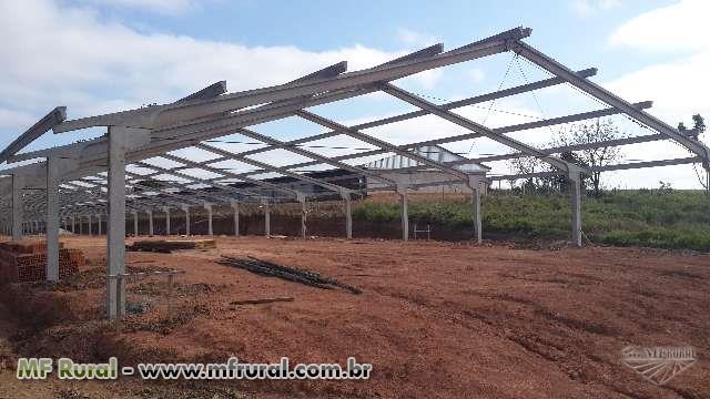 Aviarios Pre Moldados | Preço Venda Compra - MF Rural