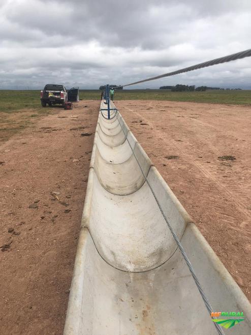 Hiper Cool Gordo | Preço Venda Compra - MF Rural